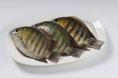 Karimeen / Pearl Spot – Le Carnivores